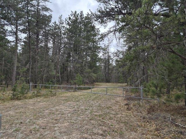 80 Ac Willows Rd, Roscommon, MI 48653