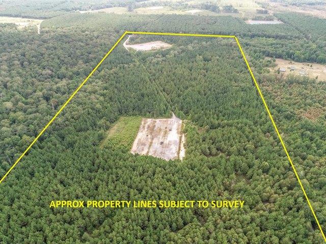 80 Ac County Road 455, Carthage, TX 75633