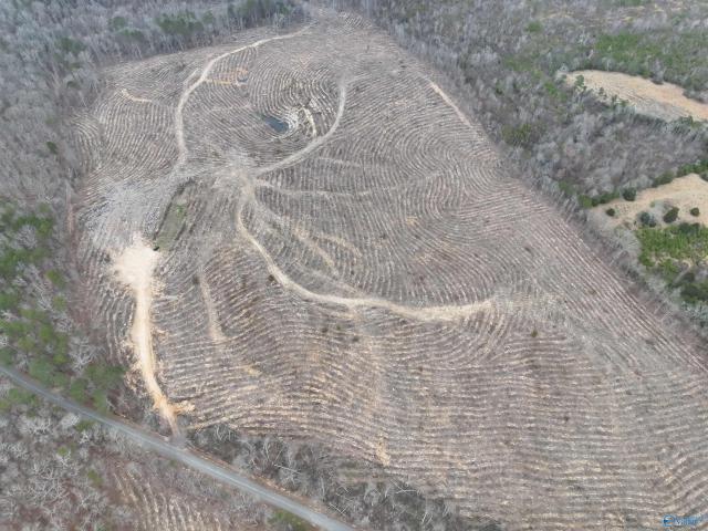 80 AC County Road 75