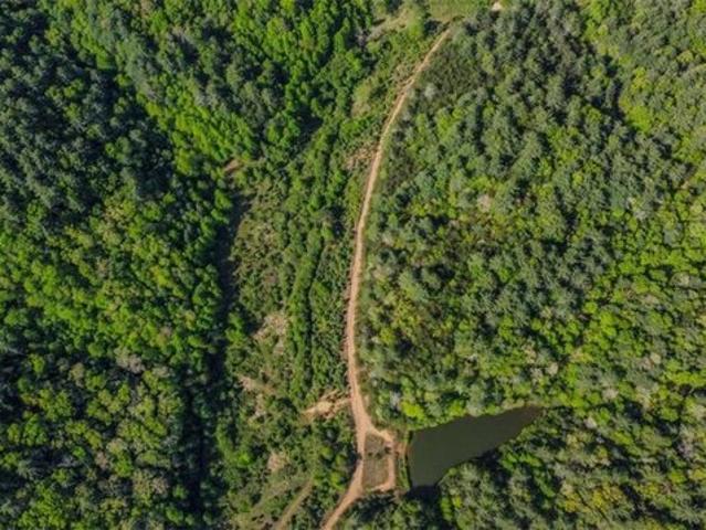 80 Acr Valley Lake Rd, Mineral Bluff, GA 30559