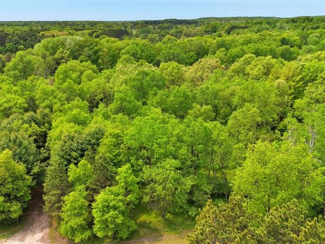 80+/ Acres V/L 140th Ave