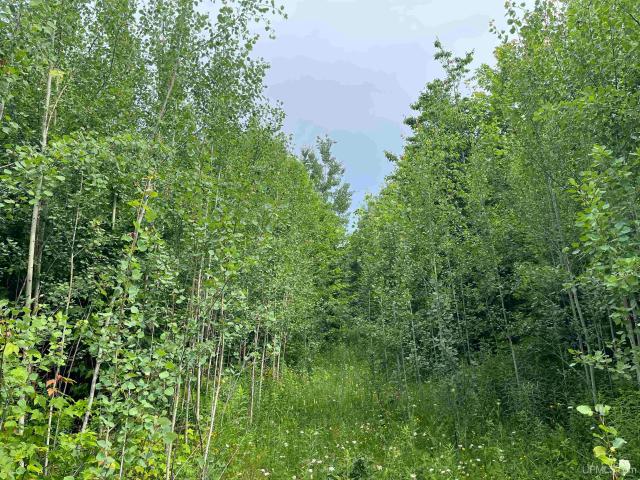 80 Acres Atherton Road