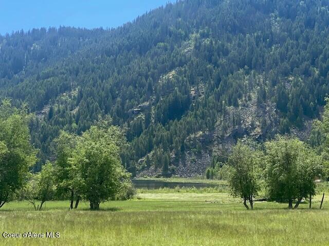 80 Acres Blue Lake Rd, Priest River, ID 83856 | MLS #25 9843 | Compass