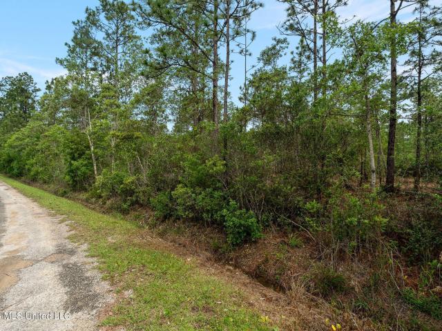 80 Acres Blue Wood Dr, Vancleave, MS 39565