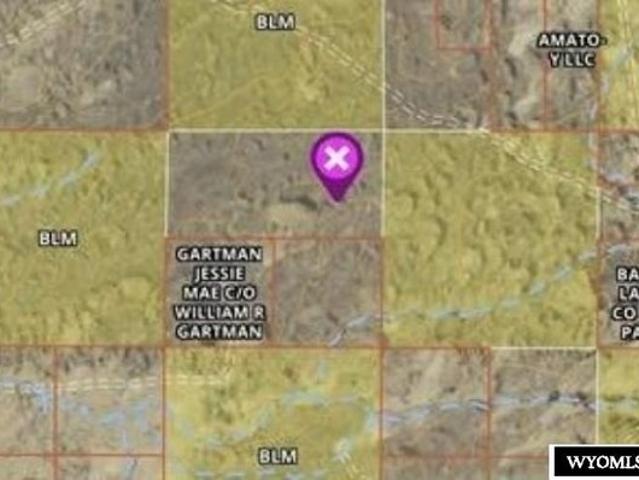 80 Acres Buck Draw, Red Desert, WY 82336