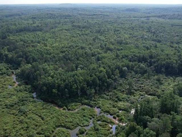 80 Acres Copper Mine Rd, Wascott, WI 54838