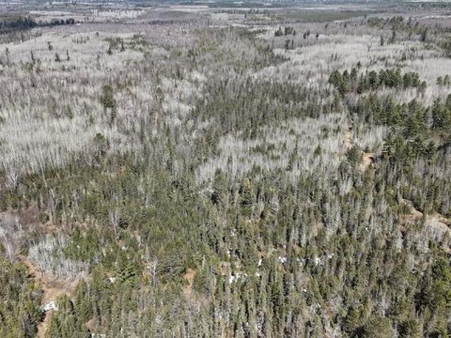 80 Acres Cth Cc, Tomahawk, WI 54487