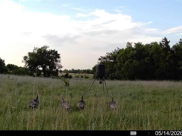 80 acres mol County Road 69