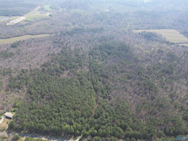 80 Acres Pine Ridge Rd, Wellington, AL 36279