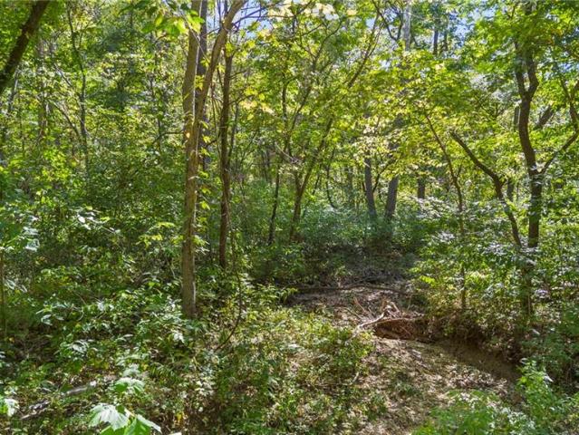80 +/ Acres Proctor Lane