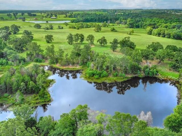 80 Acres Private Road 531, Grand Saline, TX 75140