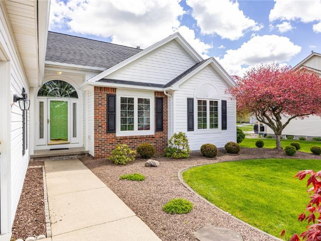 80 Albury Drive