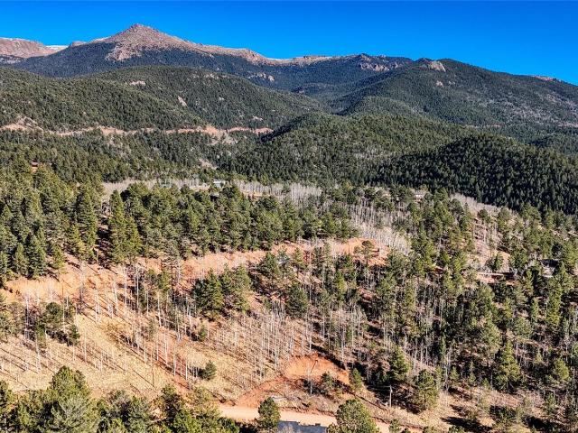 80 Beaver Pond Rd, Divide, CO 80814 | MLS #1721