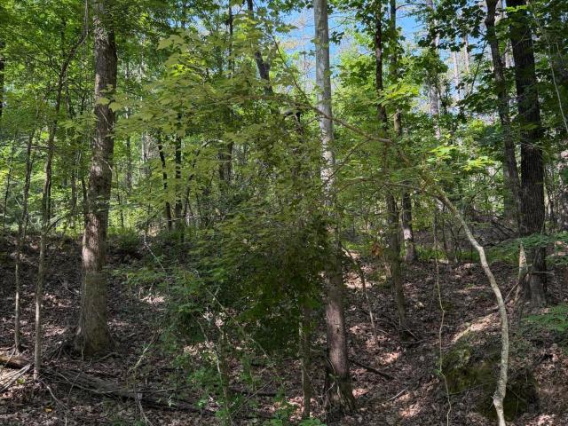80 Co Rd 5009