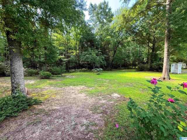 80 County Road 862