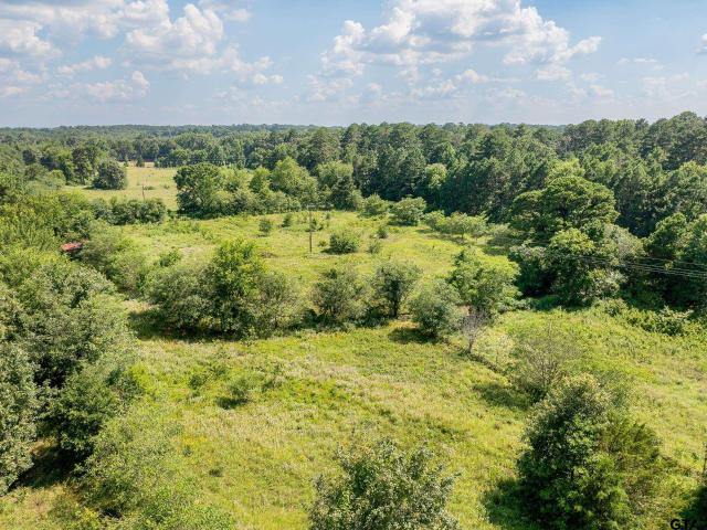 80 E Mineola, TX 75773 | MLS #25001