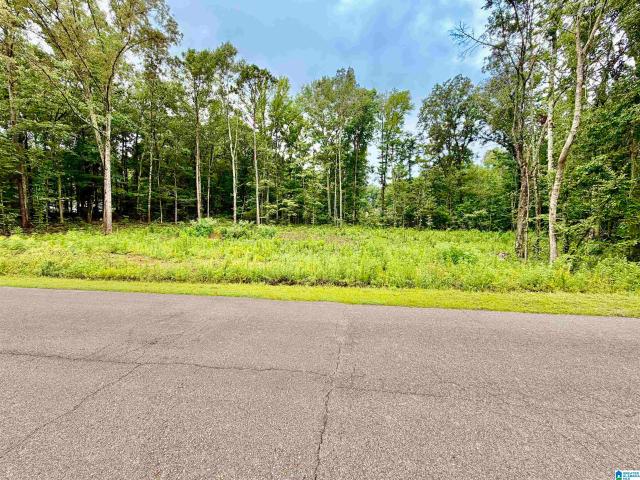 80 Forest Ridge Drive # 22