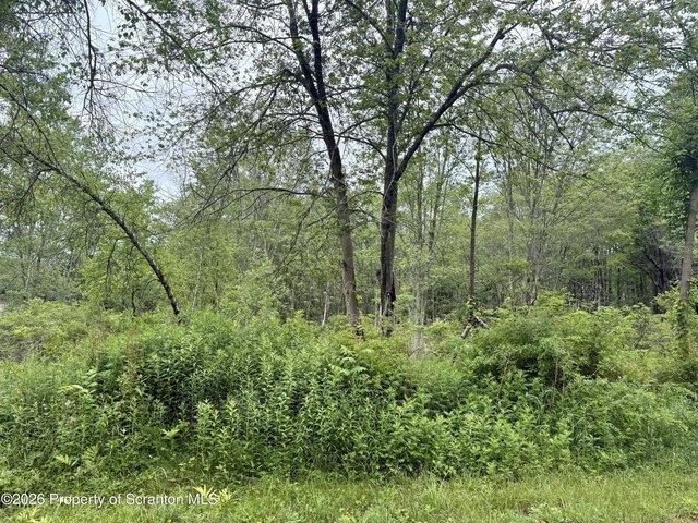 80 Highpoint Dr, Lake Ariel, PA 18436