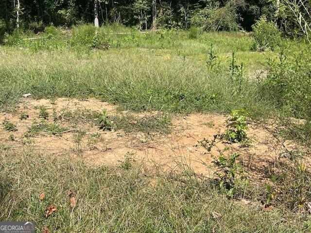 80 Indian Lake Dr, Hiram, GA 30141 | MLS #10611 | Compass
