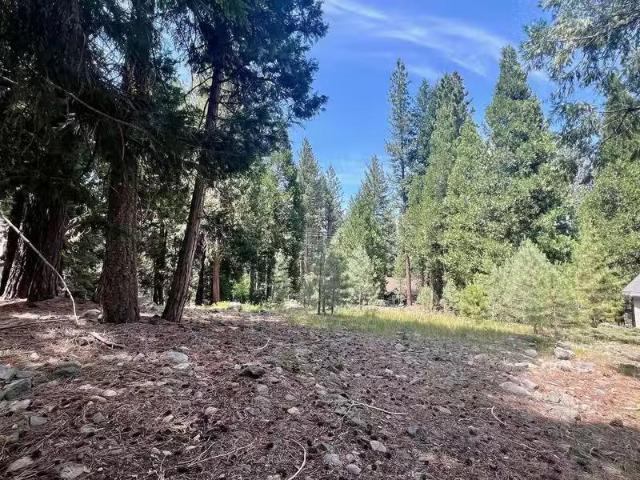 80 Paiute Trail, Graeagle, CA 96103 648430204