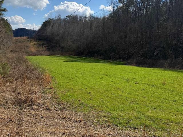 80 Snow Point Road