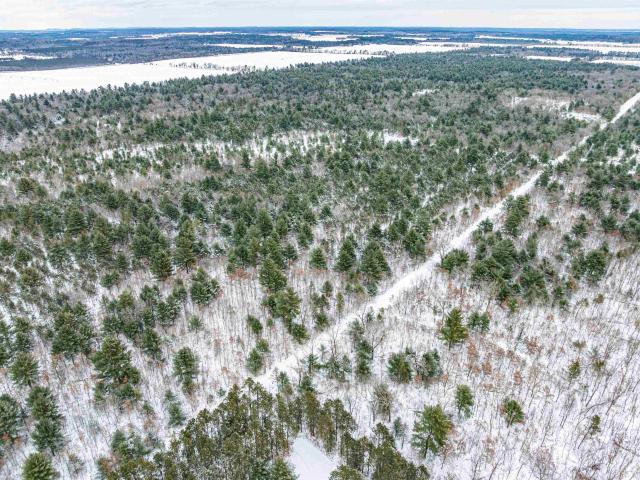 80AC Freedom Avenue