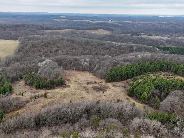 80ac Knobs Road