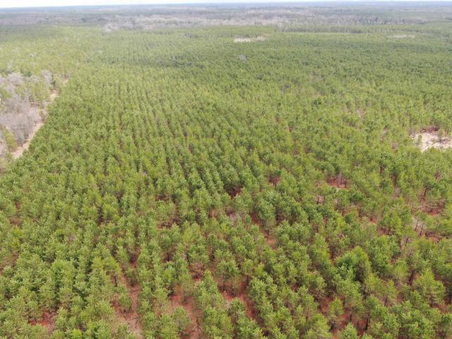 80AC 16th Avenue