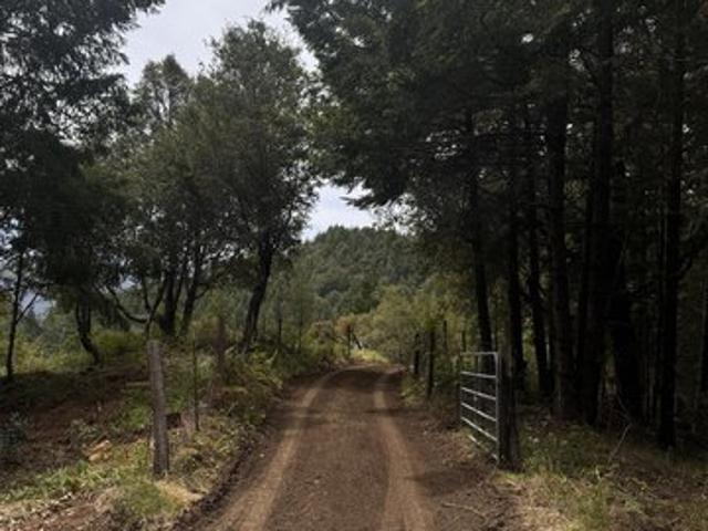 80ACRES Conklin Creek Rd, Petrolia, CA 95558