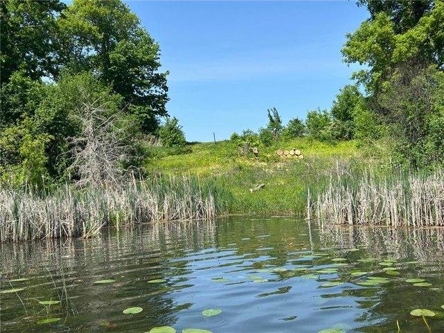 80th, Annandale, MN 55302