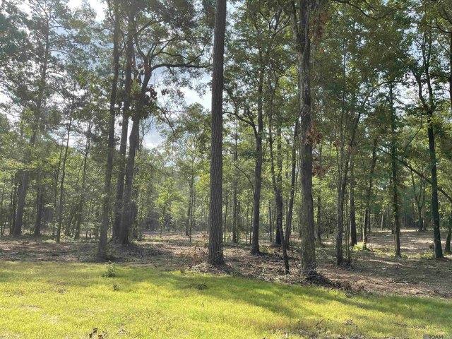 8105 Hepzibah Rd, Clinton, LA 70722