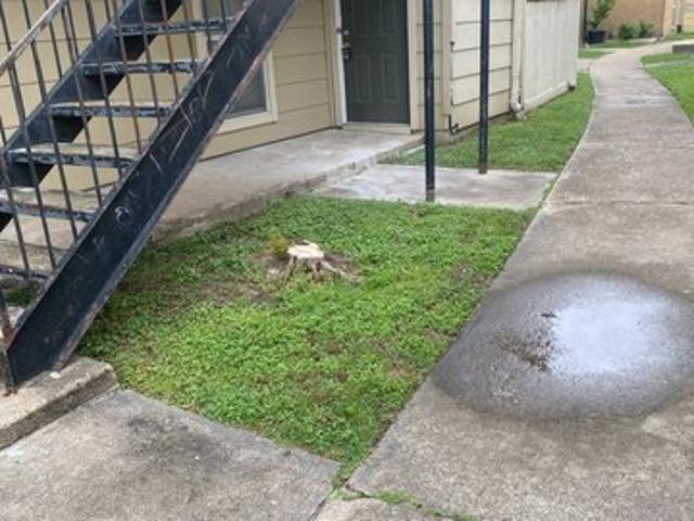 8100 Creekbend Dr Apt 159, Houston, TX 77071