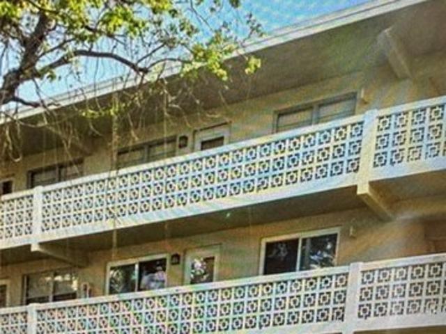 8100 Dr Martin Luther King Jr St N Apt 208, Saint Petersburg, FL 33702