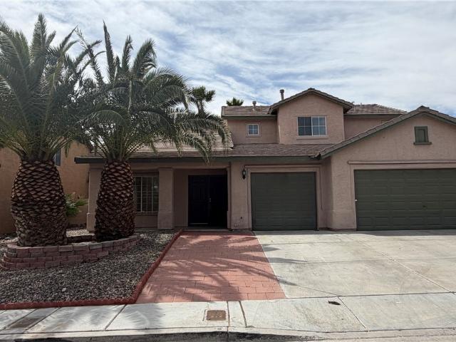 8101 yellow daisy avenue