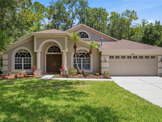 8102 Kendelwick Ct, Tampa, FL 33647