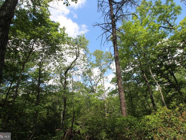8103 Old Mineral Springs Road