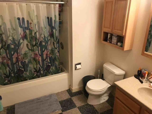 810 2 Bedroom Apartment for Rent at 810 E Gorham St, Madison, WI 53703 Tenney Lapham