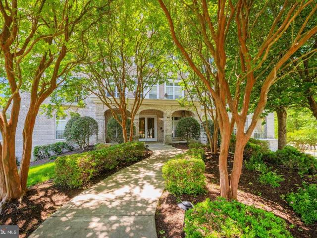 810 Belmont Bay Drive # 201