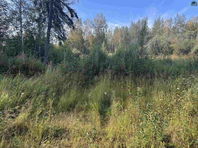 810 Duckwood Ct Unit 13, Fairbanks, AK 99712