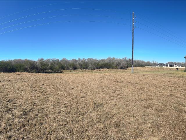 810 Royal Lakes Manor Blvd, Richmond, TX 77469 | MLS #36157