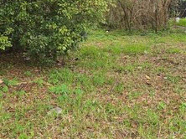 810 W 14th St, Lakeland, FL 33805