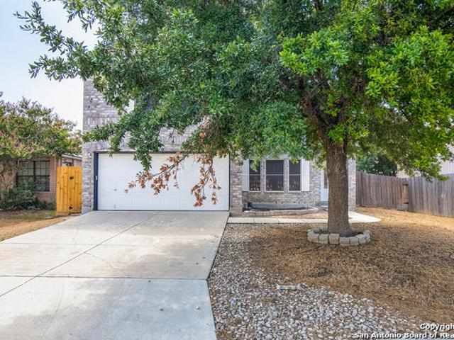 8118 Stagwood