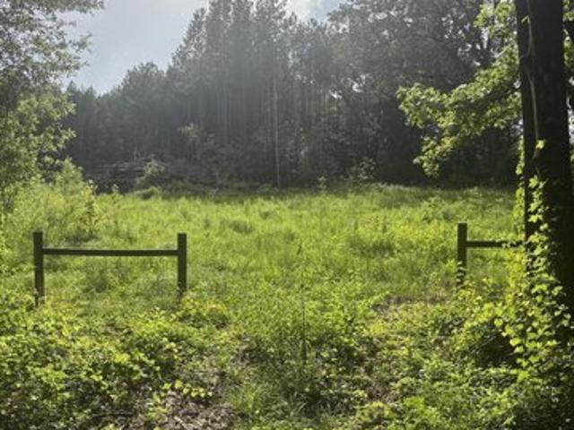 8119 Dry Grove Rd, Raymond, MS 39154