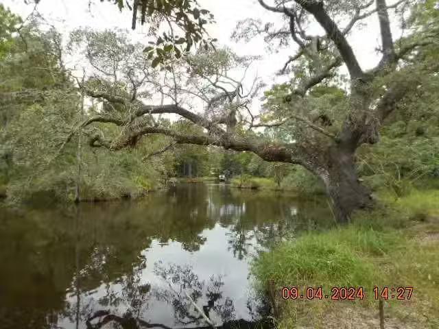 8110 HEMLEY ST, BAYOU LA BATRE, AL 36509 Vacant Land For Sale.