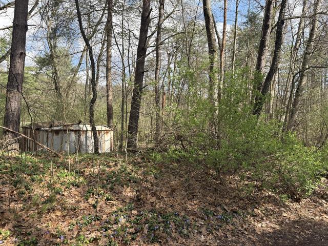 8113 Poplar Drive