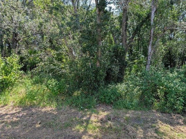 811 Cardinal Way, Poinciana, FL 34759