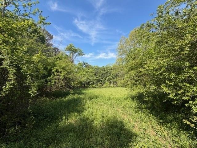 811 Ammons Rd, Waleska, GA 30183