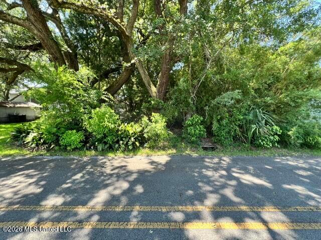 811 Lafayette Avenue