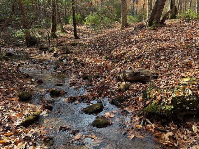 811 Mangum's Trail, Blue Ridge, GA 30513 | MLS #420394