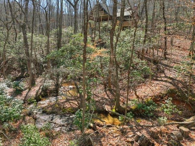 811 Mangums Trl, Blue Ridge, GA 30513